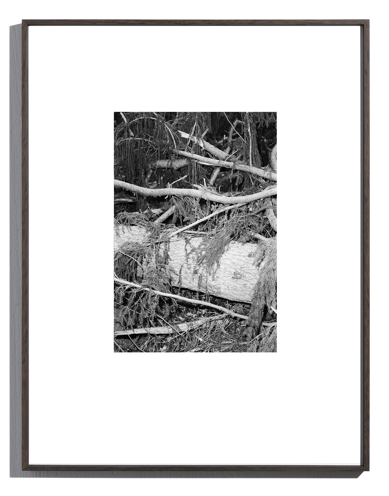 Peter Hauser — Time of tempest